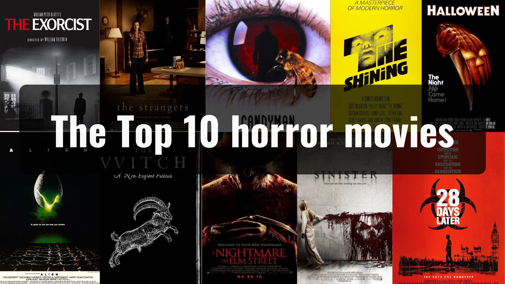 Top 10 horror Movies (Compilation) by Zeeshanali2030 - on Twine.